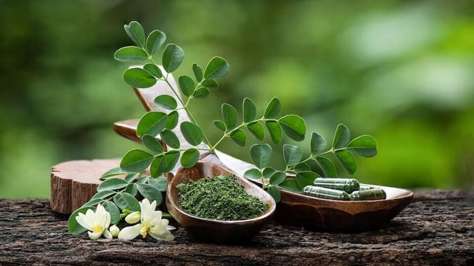 Women Health: பெண்களுக்கு பல அற்புத பலன்களை அள்ளித் தரும் முருங்கை இலை ...