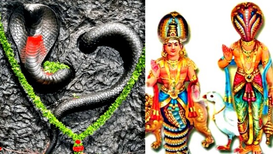 Naga Dosham: இந்த தோஷம் இவ்வளவு மோசமா? - பரிகார தலங்கள் இதோ!