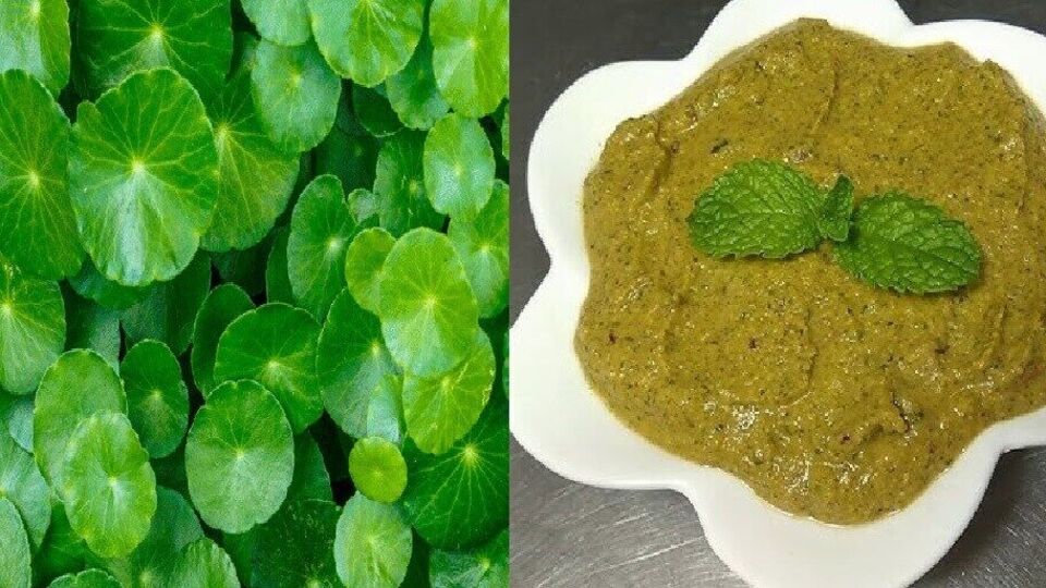 Vallarai Keerai Chutney : எல்லா பிரச்சனைக்கும் ஒரே தீர்வு.. சத்தான ...