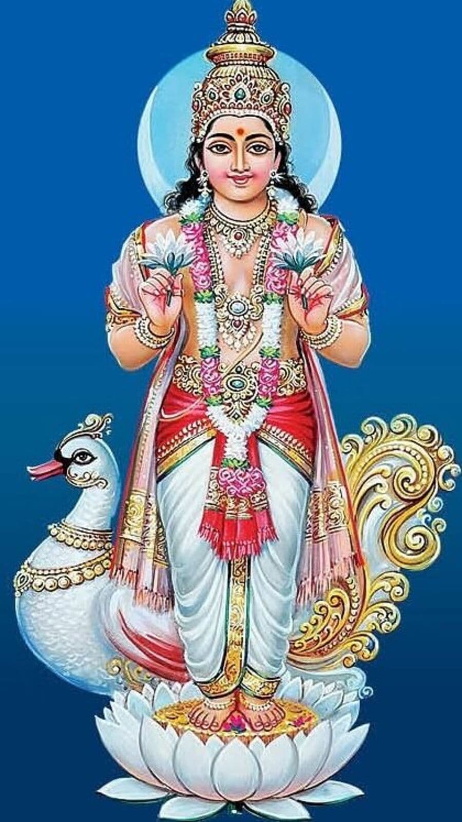 Sukran Transit 2023: சுக்ரன் கிளம்புகிறார்.. ஜூலை 6 வரை தான் எல்லாம்!