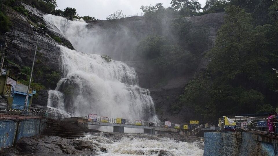 Kuttralam : குற்றாலம் போற ஐடியா இருக்கா? அப்போ இத பாத்துட்டு போங்க ...