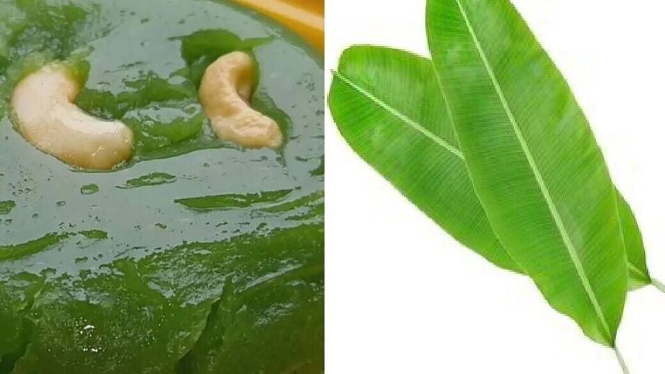 Banana Leaf Halwa : செம ருசி.. வாழை இலை அல்வா ட்ரை பண்ணி இருக்கீங்களா ...