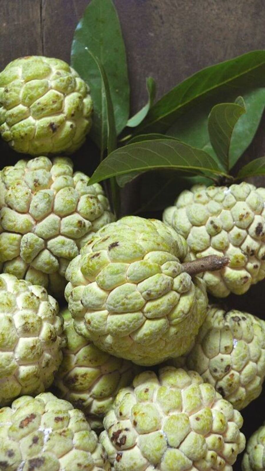 சீதாப்பழம் சாப்பிடுவதால் இத்தனை நன்மைகள் கிடைக்குமா?