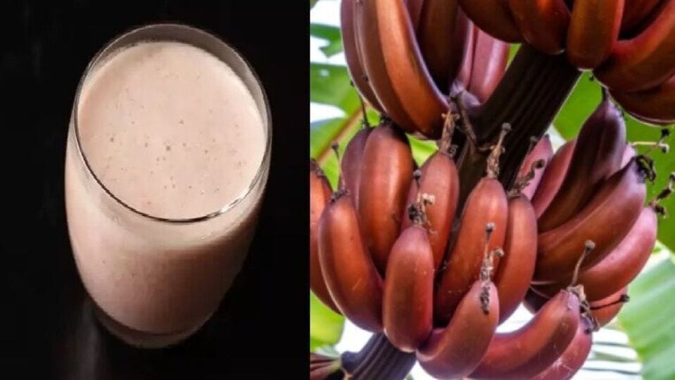 Red Banana Juice : காலை உணவுக்கு ஏற்ற .. மருத்துவ குணங்கள் நிறைந்த ...