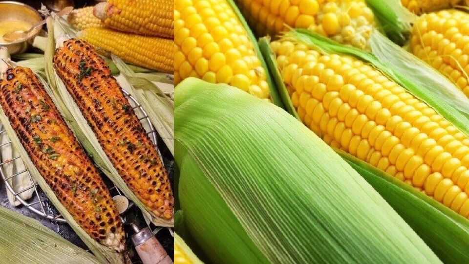 Tandoori Corn : ஈவினிங் ஸ்நாக்ஸ்.. குழந்தைகளுக்கு பிடித்த தந்தூரி கான்!