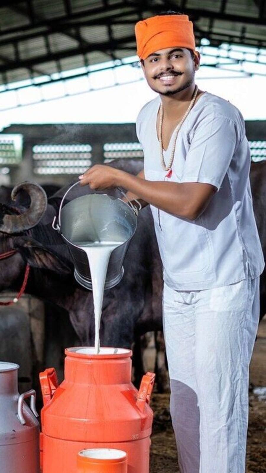 பாலில் இருக்கும் நன்மைகள் குறித்து அறிவோம்