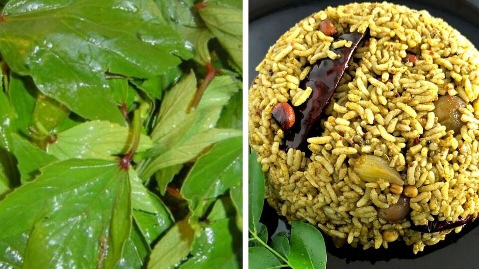 Pulicha Keerai Sadham : புளிச்ச கீரை சாதம்! லஞ்ச் பாக்ஸ் ரெசிபி ...