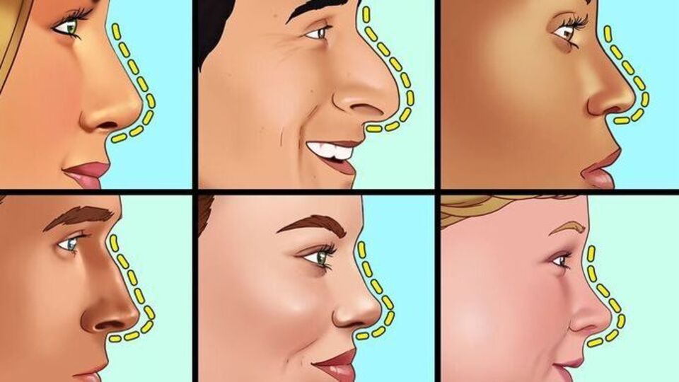 Nose Shape: என்னது மூக்கின் வடிவத்தை வைத்தே உங்கள் இயல்பை சொல்ல முடியுமா?