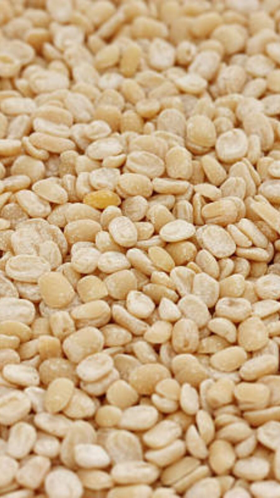 Urad Dal Benefits: உளுத்தப்பருப்பில் நிறைந்துள்ள மருத்துவப் பயன்கள் Urad Dal Benefits: உளுத்தப்பருப்பில் நிறைந்துள்ள மருத்துவப் பயன்கள்