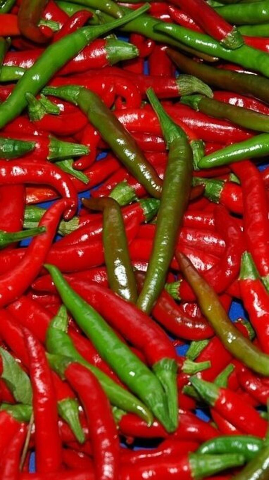 Chili pepper : எச்சரிக்கை.. மிளகாய் அதிகம் சாப்பிடுபவரா நீங்கள்!