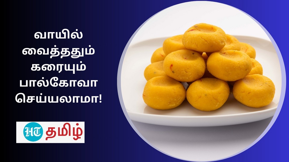 Palkova Recipe : நாவில் வைத்ததும் கரையும் பால்கோவா.. வீட்டிலேயே ஈசியா ...