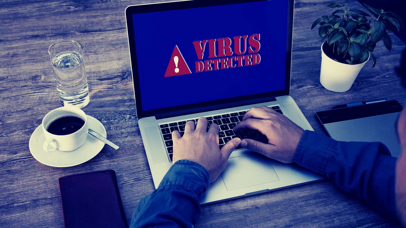 This new malware strain is targeting Mac users through infected torrents | Tech News (HT Tech)