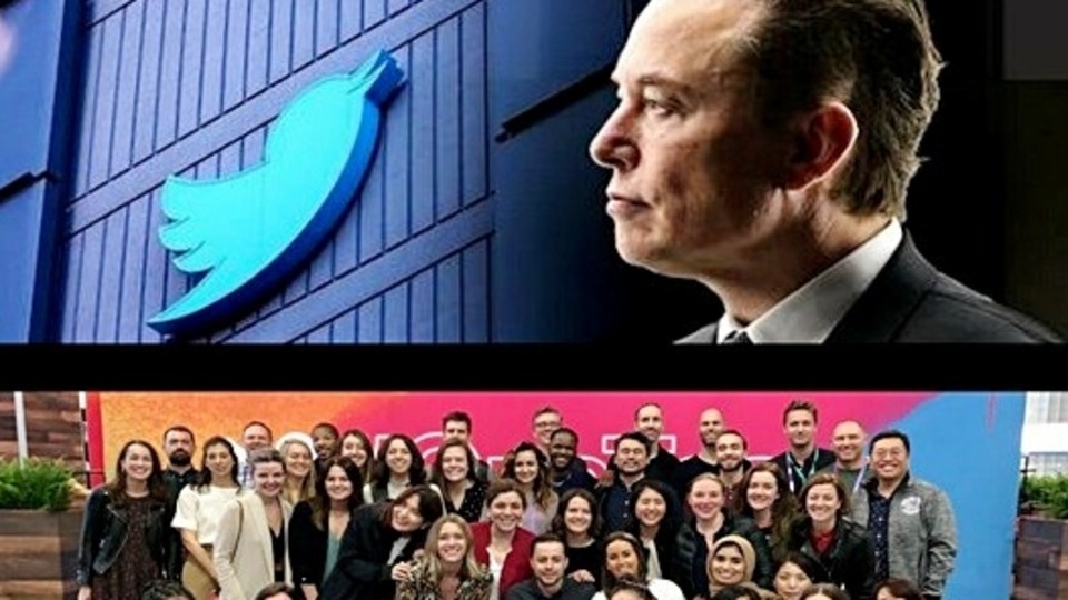 Half of Twitter employees sacked as Elon Musk launches overhaul | Tech News