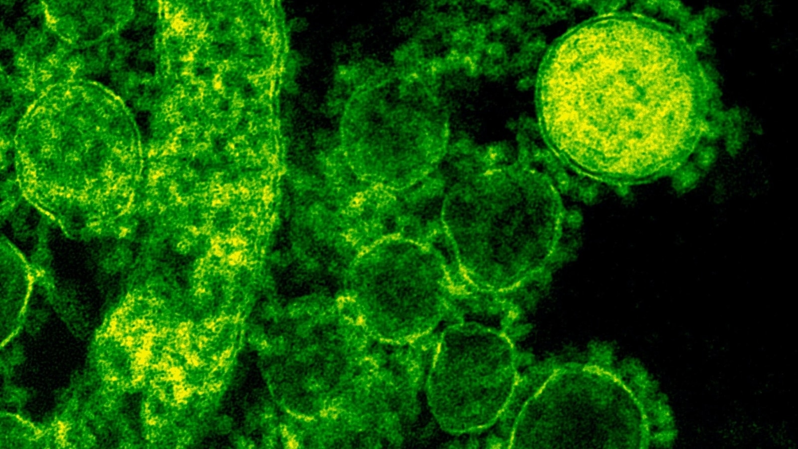 5 apps that will boost your knowledge, if you are a Science freak