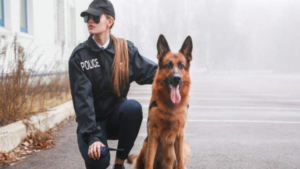 ఎక్కడున్నా పట్టేస్తుంది.. పోలీసు జాగిలాల గురించి మీకు ఈ విషయాలు తెలుసా ...