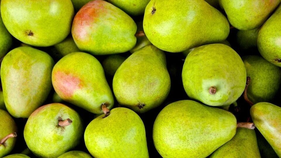 Pear Fruit Benefits । ఈ పండ్లు రుచిలో మధురం, వ్యాధులను నివారించే మంచి ...