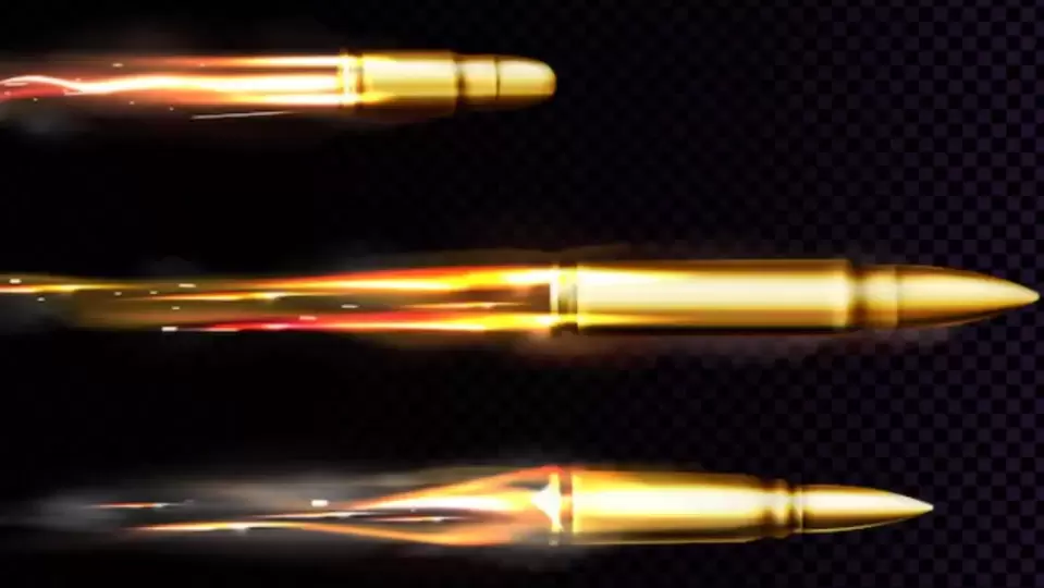 సెకనుకు 4000M స్పీడ్‌తో హైపర్‌సోనిక్ బుల్లెట్‌.. పందులపై చైనా ప్రయోగం ...