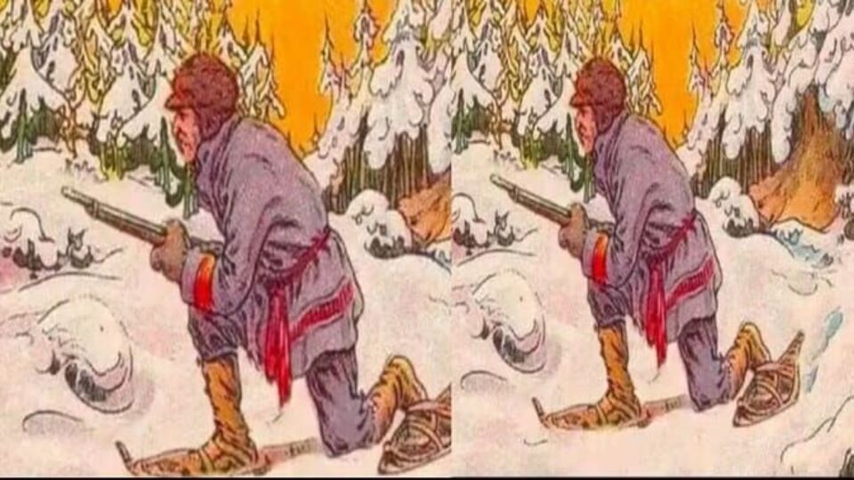 Optical Illusion । ఈ చిత్రంలో దాగి ఉన్న ఎలుగుబంటిని పట్టుకుంటే.. వేట ...