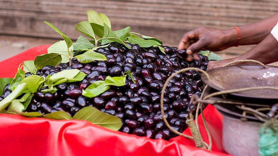 అల్లనేరేడు పండు.. పోషకాల్లో మెండు-benefits and nutrition of jamun ...
