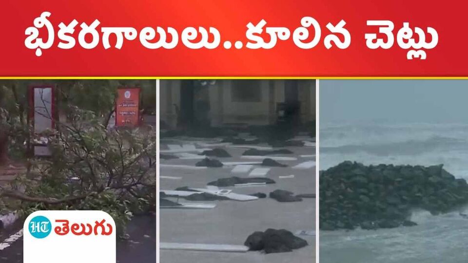 Cyclone Biparjoy | తీరాన్ని తాకిన బిపోర్ జాయ్.. గుజరాత్ అతలాకుతలం-trees ...