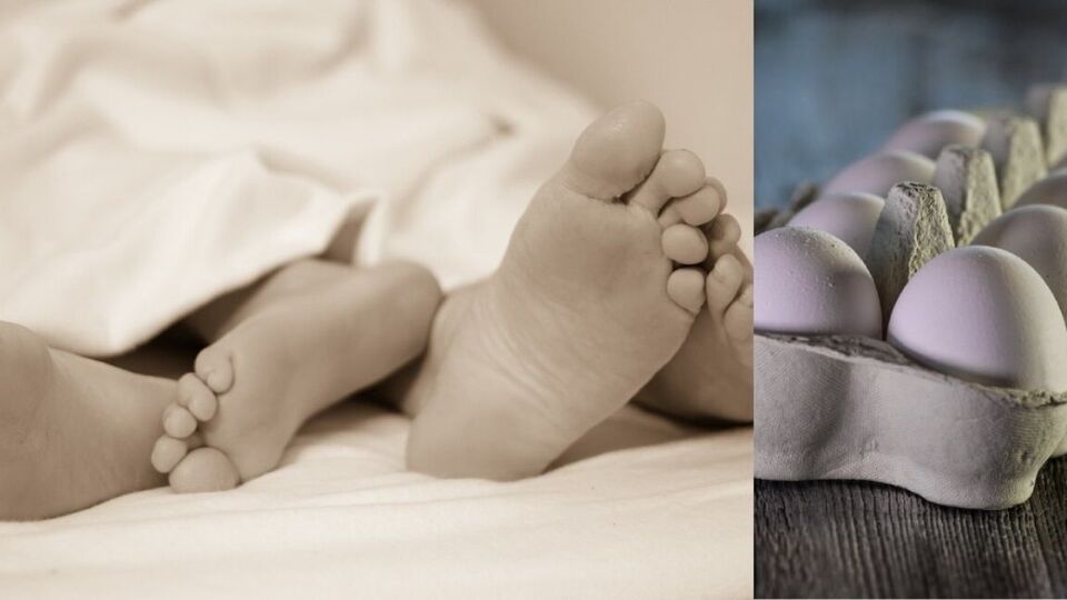 Eggs For Sex Life ఎగ్స్ తింటే సెక్స్ సామర్థ్యం పెరుగుతుందా Can Eggs Boost Sex Drive Details