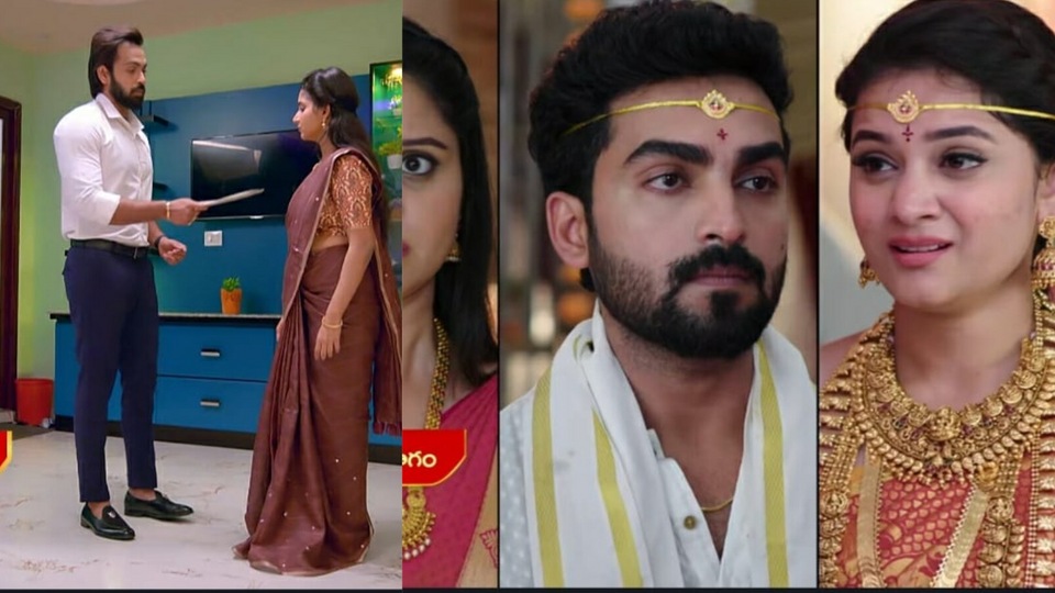 Brahmamudi Latest Promo : రాజ్ ఆఫర్ తిరస్కరించిన కావ్య.. కృష్ణ ...