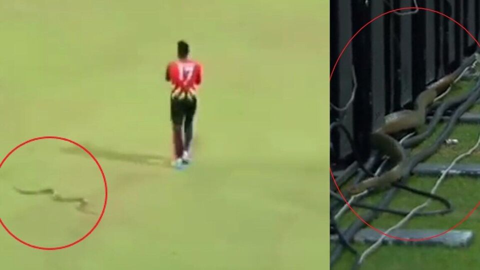 Viral Video: మరోసారి గ్రౌండ్‍లోకి పాము.. కాస్తలో తప్పించుకున్న శ్రీలంక ప్లేయర్: వీడియో-snake ...