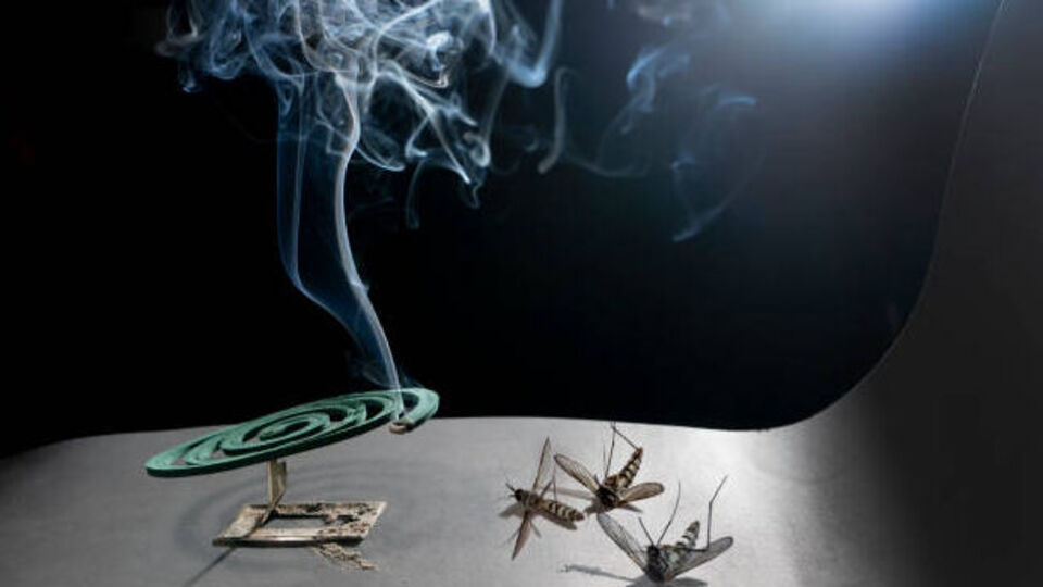 Mosquito Coil Side Effects : రోజూ మస్కిటో కాయిల్ వాడుతున్నారా? ఈ ...