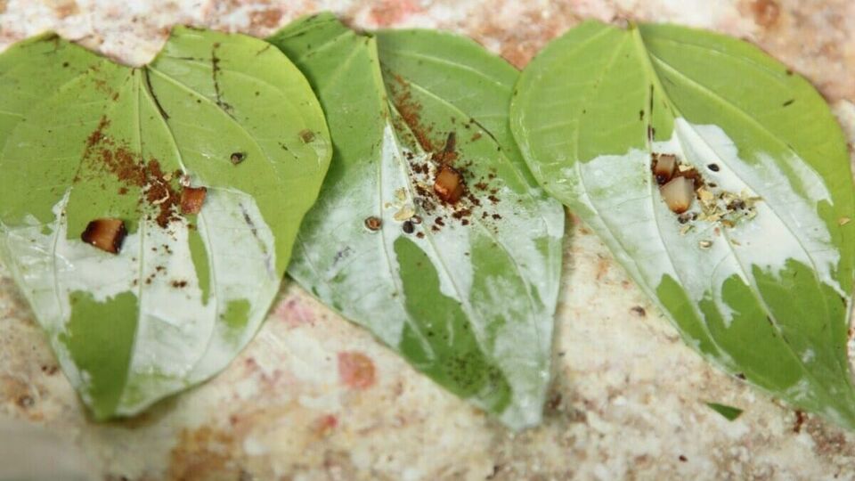 Limestone Benifits: పాన్‌లో సున్నం తినడం చెడ్డ అలవాటు ఏం కాదు! పద్ధతిగా ...