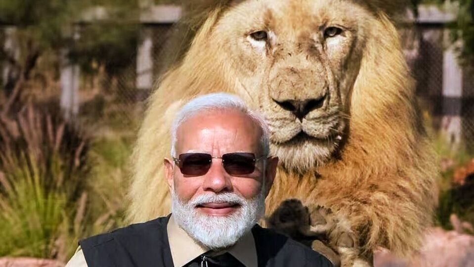 PM Modi: ఆసియా సింహంతో ప్రధాని మోదీ సెల్ఫీ-prime minister narendra modi ...